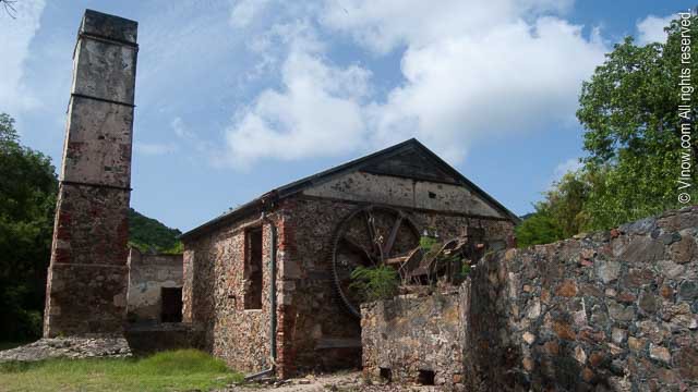 Reef Bay Trail - Hiking - Virgin Islands