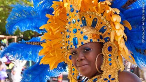 Virgin Islands Carnival: Adult's Parade - Virgin Islands