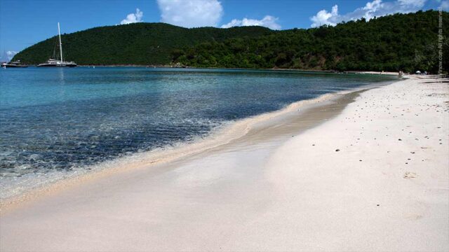 Maho Bay Beach Guide 2024, Everything You Need to Know Before You Go ...